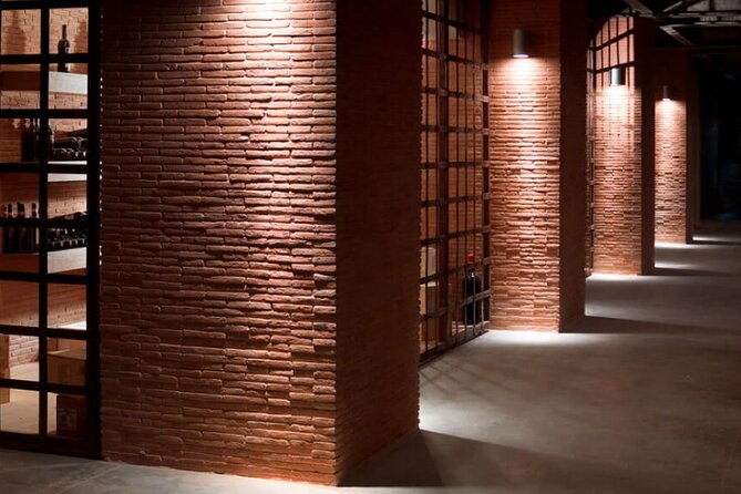 Visit to the cellar at the Feudi di San Gregorio da Sorrento - Why This Tour Offers Good Value
