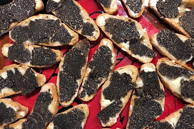 Visit truffle fields and hunt with a dog in all seasons. - A Closer Look at the Truffle Experience