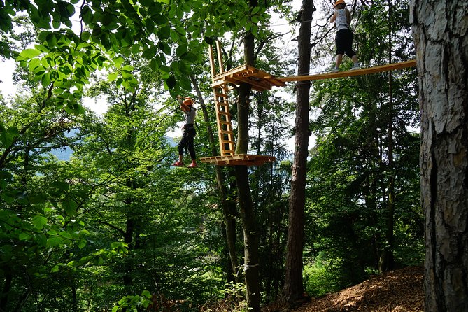 Waldseilpark Wörthersee - An In-Depth Look at Waldseilpark Wörthersee