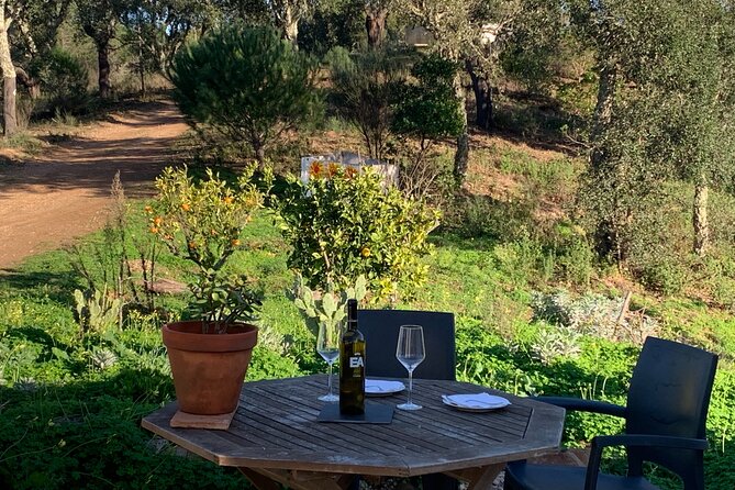 Walk in the Hills with Goat Herder-Local Honey, Wine and Cheese Tasting - The Itinerary: What You Can Expect