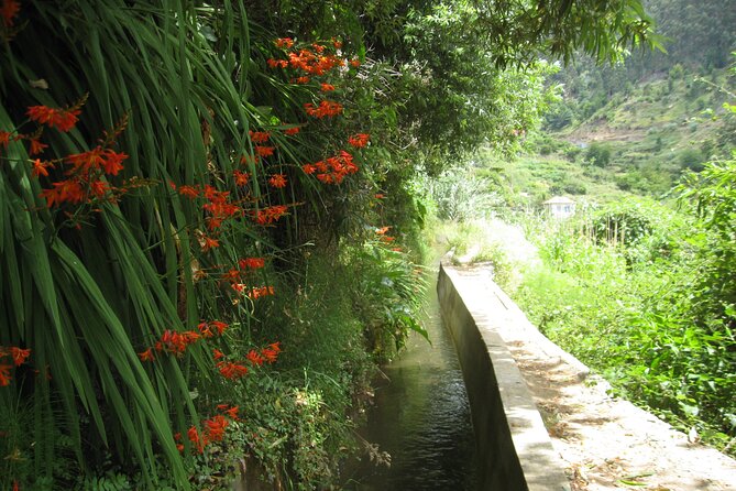 Walking Experience in the Serra D'Água Valley - A Closer Look at the Serra DÁgua Valley Tour