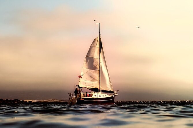 Whale & Dolphin Watching Boat Trip in Tenerife On a Sailing Boat (3 Hr) - Introduction: An Authentic Way to See Marine Life in Tenerife