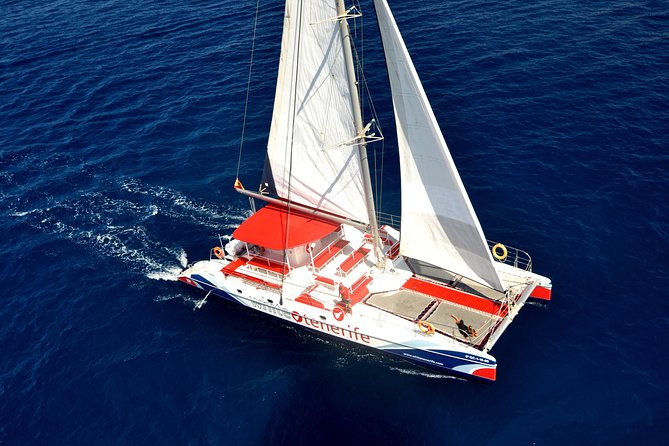 Whale Watching and Listening Eco Catamaran Tour with Food Tasting - Key Points
