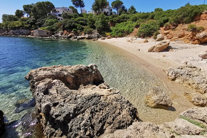Wild Beaches & Snorkeling Tour - What’s Included and What’s Not