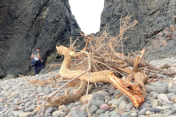Wild coast nature experience and legends - An In-Depth Look at What to Expect