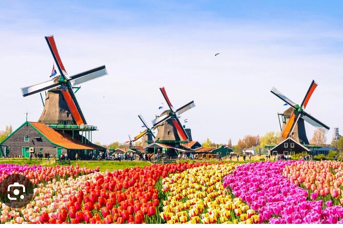 Windmills Country side tour Zaanse Schans Cheesefactory-Volendam - Key Points
