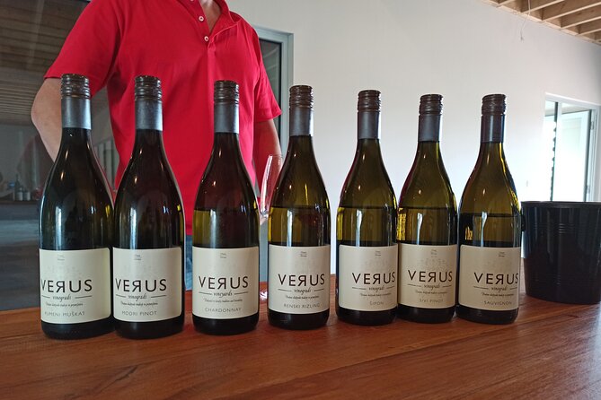 Wine and Culinary Adventure in Jeruzalem - Full Day Tour from Ljubljana or Ptuj - Exploring the Jeruzalem Wine Region