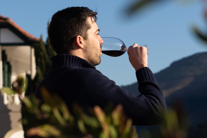 Wine Class Portugal wines in a small farm with a visit to the winery - Itinerary Breakdown