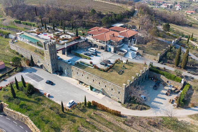 Wine Degustation in the Heart of Slovenian Istria - Visiting the Wine Cellar: A Journey Through Tradition and Innovation