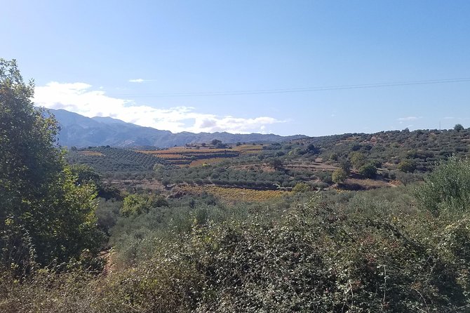 Wine, Olive Oil, and Honey Tour with Winemaker - Exploring Crete’s Mountain Villages and Local Flavors