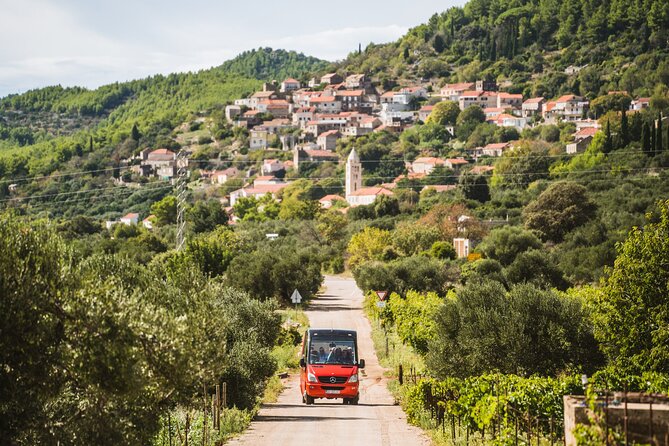 Wine & Sightseeing Tour Korcula - An In-Depth Look at the Korcula Wine & Sightseeing Experience
