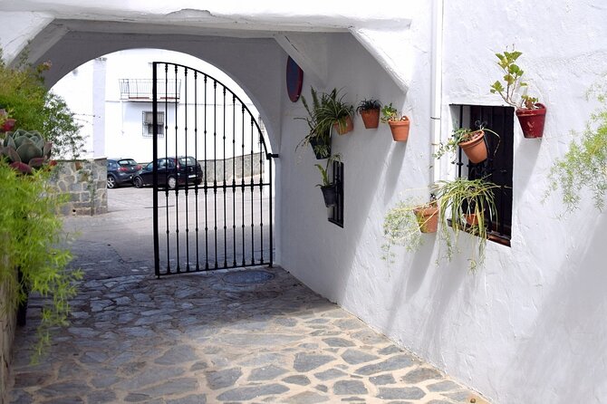 Wine & Tapas tour by electric bike (e-bike) including Ronda pickup (half day) - Practical Details and Considerations