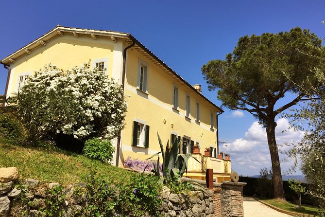 Wine Tasting and Winery tour - Practical Details