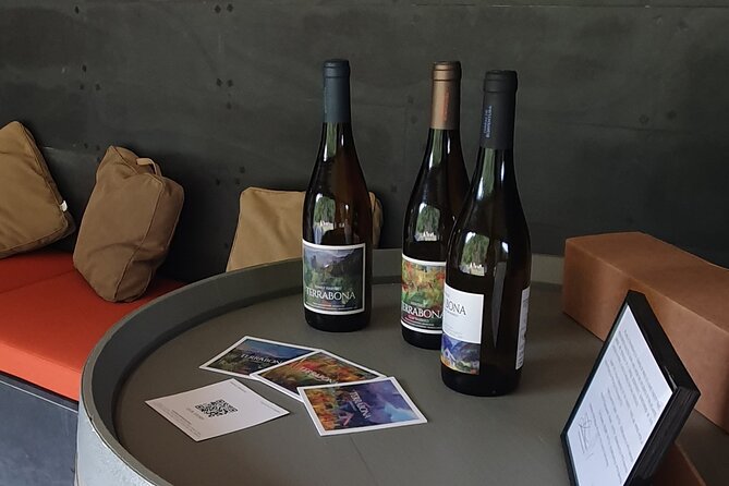 Wine Tasting Experience in Boaventura, Madeira North Coast - Who is This Tour Best For?