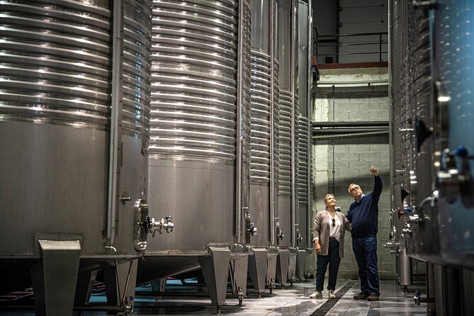 Wine Tasting & Lunch | Quinta de Santa Cristina Vinho Verde - Real Traveler Insights and Value