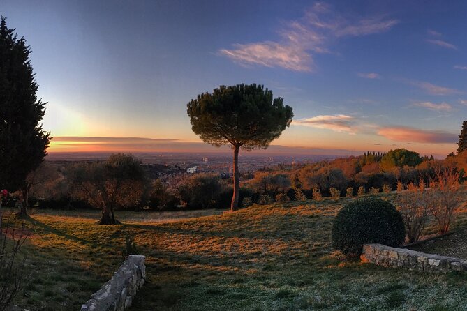 Wine Tasting with Panoramic View of Verona - A Truly Scenic and Tasty Experience