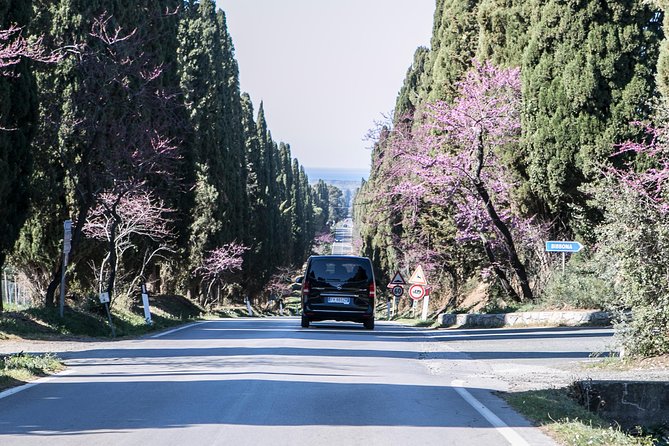 Wine Tour Bolgheri Half day Shore Excursion from Piombino Port - An In-Depth Look at the Itinerary and What You Can Expect