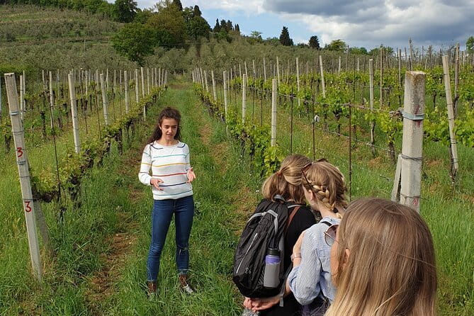 Wine Tour of two Chianti wine estates on the hills of Florence - An Inside Look at the Itinerary
