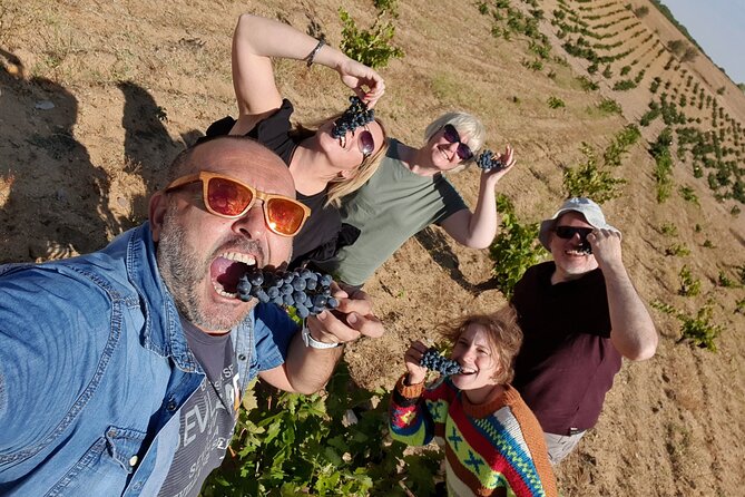 Wine Tour Toledo, Windmiils, Lunch & Winery Included - What’s the big draw? Toledo, Windmills, and La Mancha in one trip