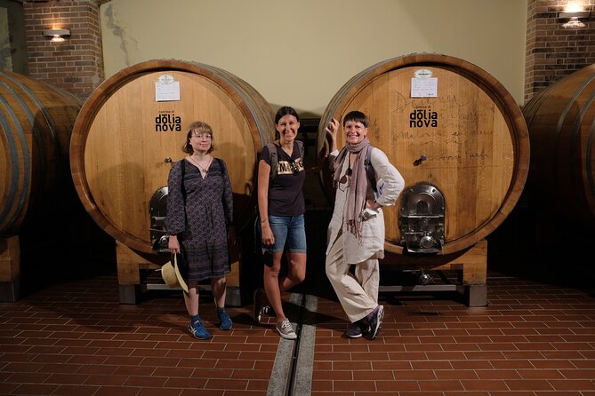 WINE TOUR with sommelier in a winery near Cagliari - In-Depth Review of the Sardinian Winery Experience