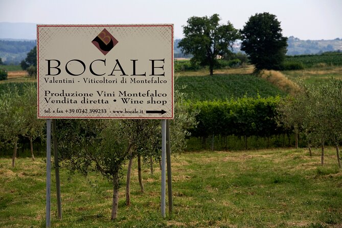 Winery Tour and Private Tasting in Montefalco - What to Expect from this Montefalco Winery Tour