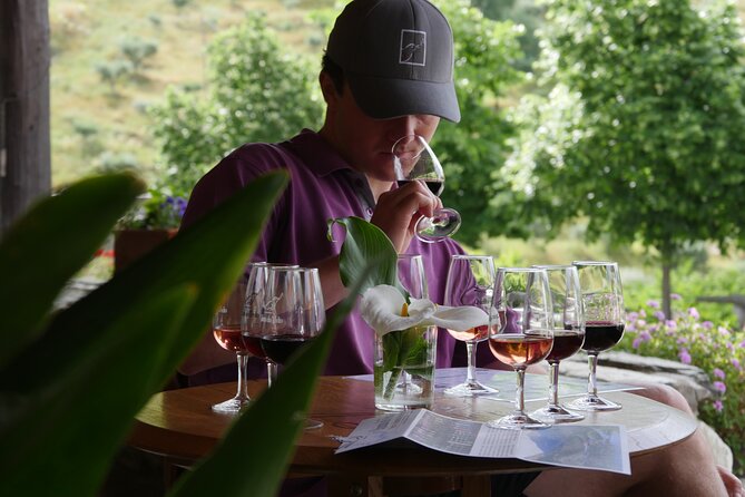 Winery Tour and Tasting in Douro Valley - An In-Depth Look at the Winery Tour and Tasting in Douro Valley