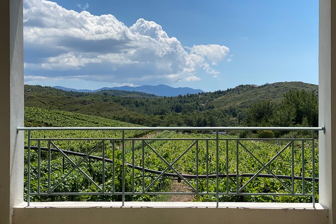 Winery Tour, Tasting and cooking with the Winemaker in Rhodes - An Inside Look at Rhodes’ Wine and Food