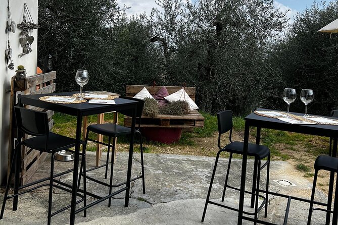 Winery Tour & Tasting in Pisa Countryside - The Meeting Point and Logistics