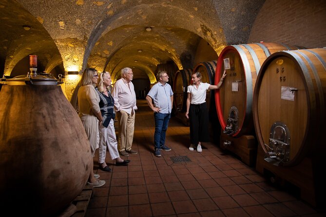 Winery tour & wine tasting in Montalcino - An In-Depth Look at the Montalcino Wine Tour Experience