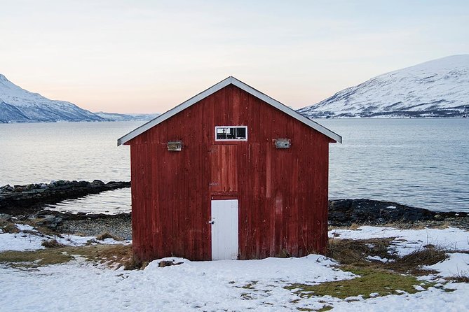 Winter Fjord Road Trip with Citizen Science with Wandering Owl - A Closer Look at the Arctic Fjord Road Trip Experience