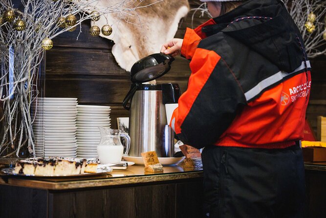 Winter highlights: Snowmobile, Arctic Animals And Santa`s Village - An In-Depth Look at the Itinerary
