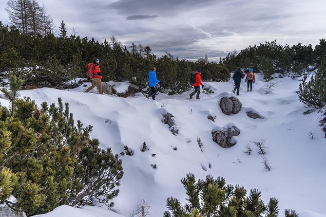 Winter Hike in Julian Alps - Key Points