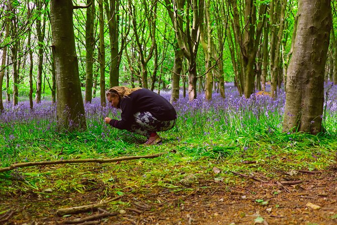 Yoga & Forest Bathing Day Retreat - The Cost and Value