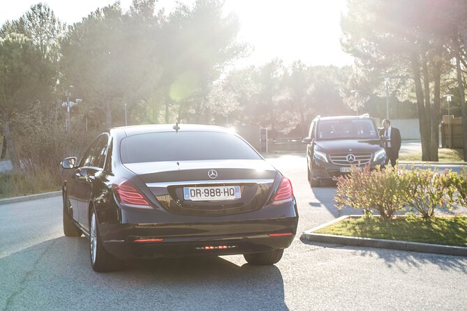 Your Private Chauffeur from Aix-en-Provence - Who This Tour Is Best For