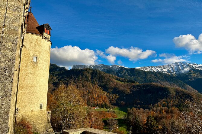 Zurich Private Tour - Gruyères, Cheese, and Lavaux's UNESCO Wine - An Overview of the Zurich Private Tour Experience