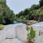 2.30 hours Guided quad bike tour in Gole dell'Alcantara - Who Should Book This Tour?