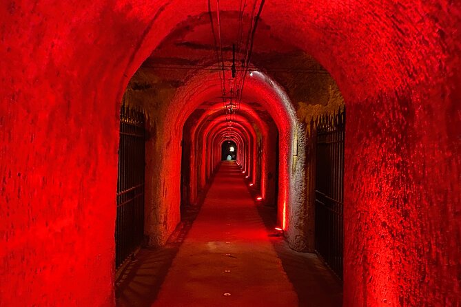 2-day Burgundy 4 Domains, Champagne Moet, Veuve Clicquot Private - Discovering the 2-Day Burgundy & Champagne Private Tour: A Detailed Review