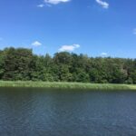 2-day excursion to Bad Saarow - A Closer Look at the Experience