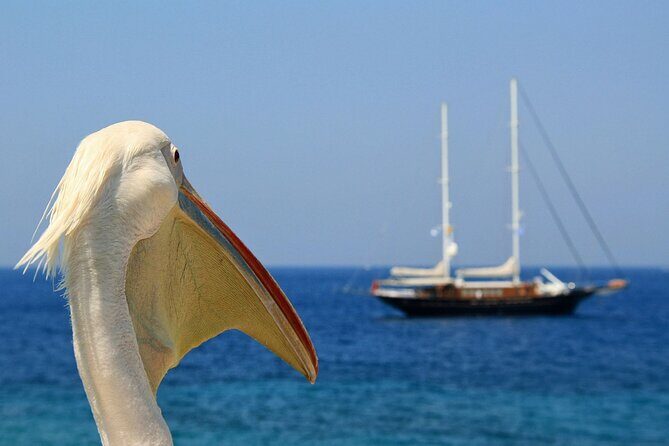 2-day Tour from Athens to Santorini and Mykonos - Timing and Logistics: What You Need to Know