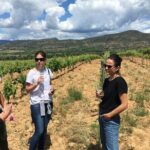 2-Day Tour: Gaudi & Sagrada Familia + Montserrat & Winery - Practical Tips for Prospective Travelers