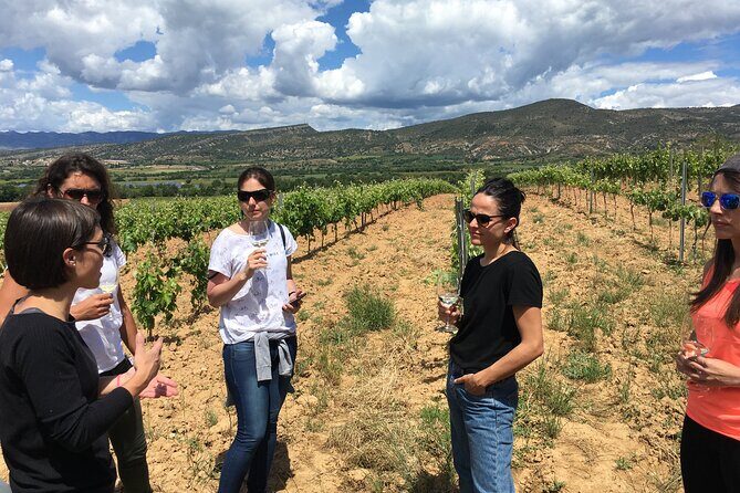 2-Day Tour: Gaudi & Sagrada Familia + Montserrat & Winery - Practical Tips for Prospective Travelers