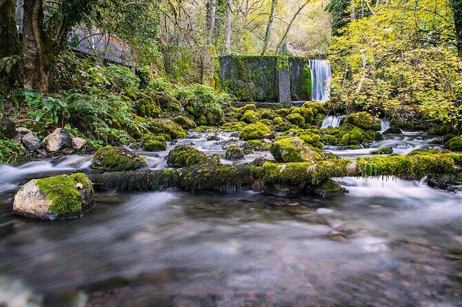 2 Day Trip in Western Serbia Tara and Uvac - Who Will Love This Tour?
