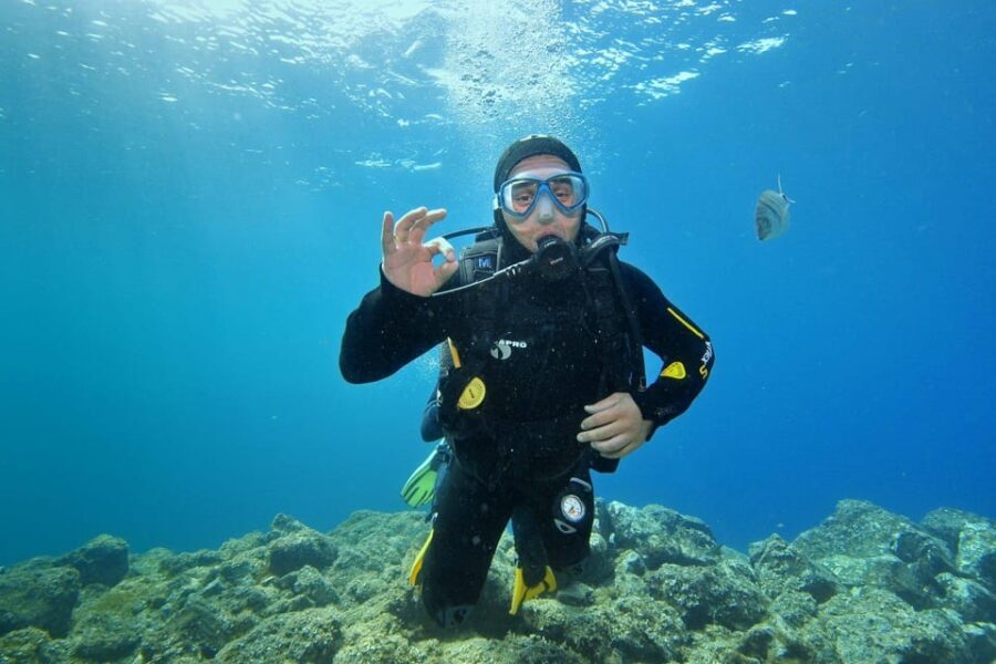 2 DAYS - 3 DIVES - What to Expect Underwater