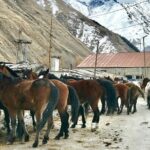2 Days Private Tour to Kazbegi and Juta Village with Trekking - A Deep Dive into the 2-Day Mountain Tour