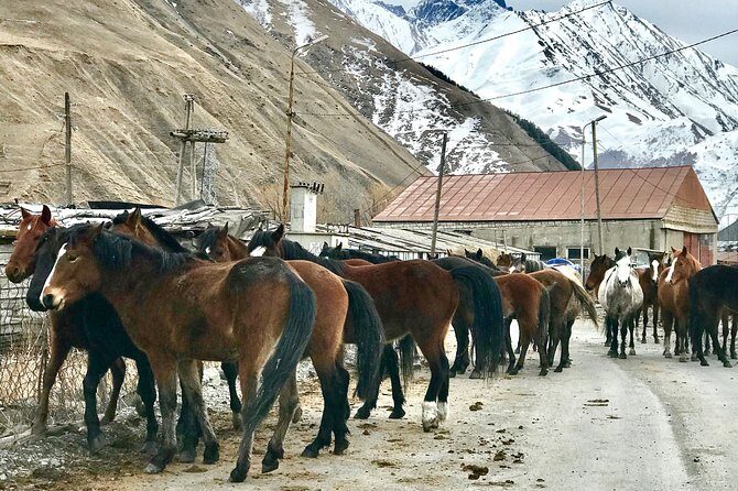 2 Days Private Tour to Kazbegi and Juta Village with Trekking - A Deep Dive into the 2-Day Mountain Tour
