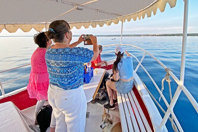2-Hour Dolphin Guided Safari NP Brijuni from Fazana - What Makes This Dolphin Safari Special?
