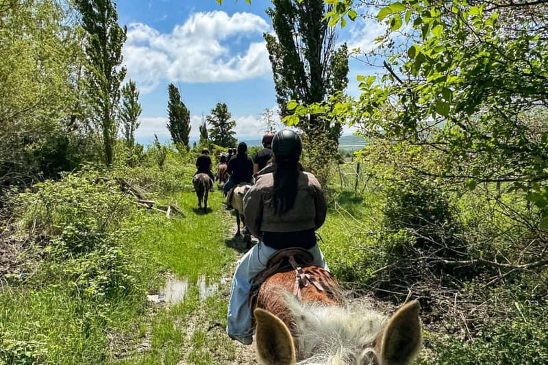 2-hour horse riding tour at Palomino Ranch - How the Itinerary Breaks Down