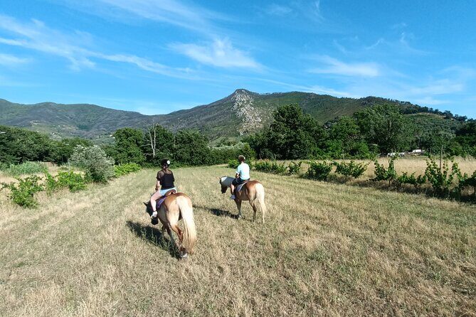 2 hour horseback ride for experts in Valgraziosa (Pisa) - Final Thoughts: Who Should Consider This Tour?