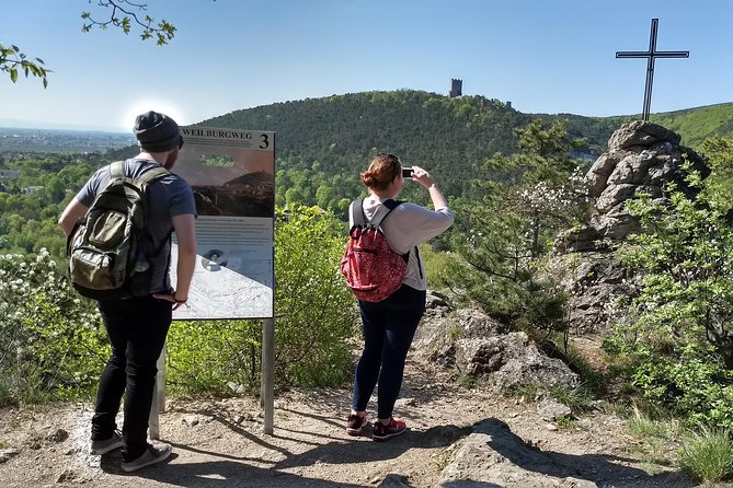 2-Hour Private Hiking Tour Helenental Castles Hike from Vienna - Exploring the Helenental Castles on a Private Vienna Hiking Tour