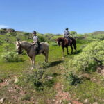 2 hours Green Mountains Horse Riding Tour - A Detailed Look at the Itinerary